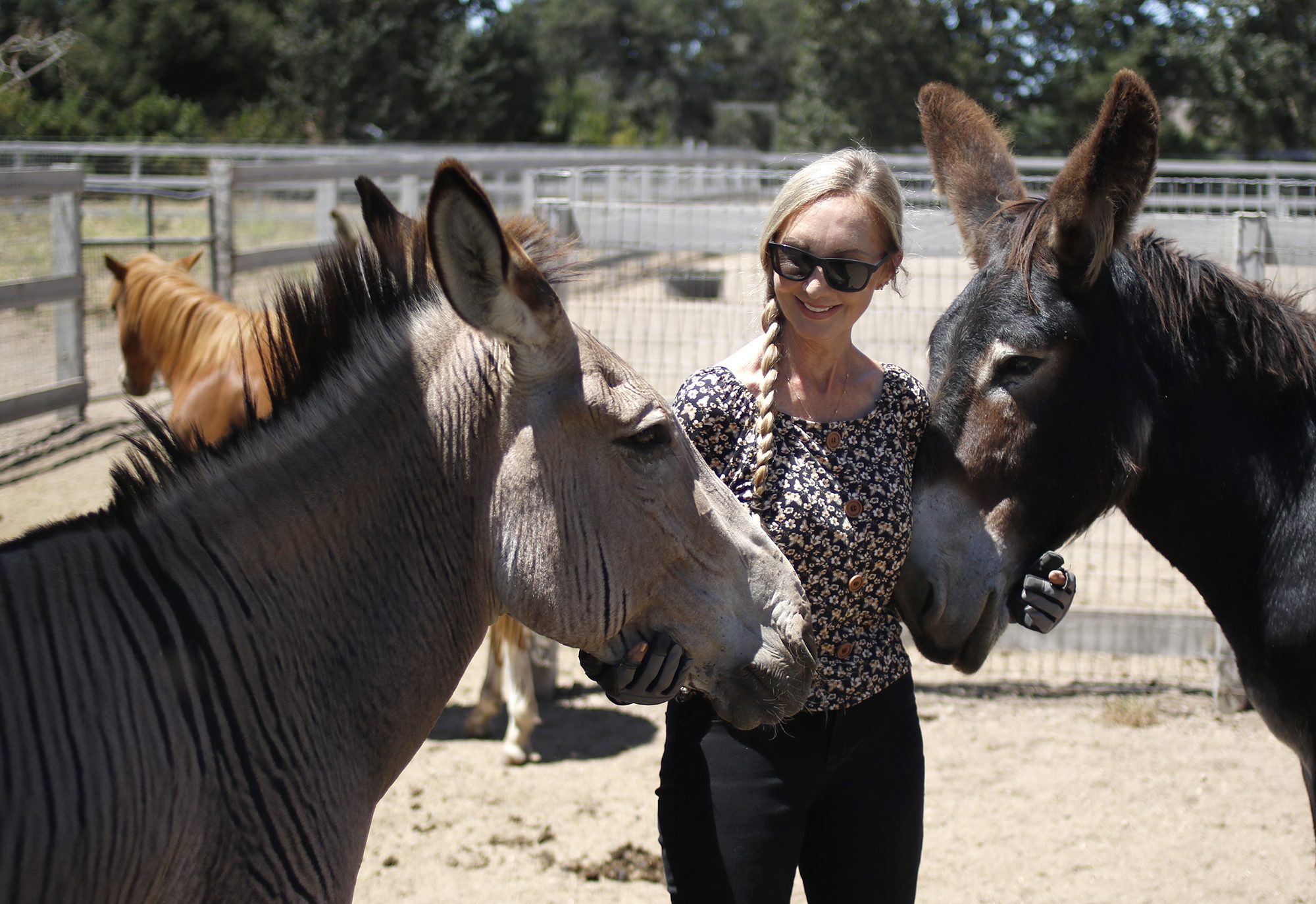 Donkey Rescue - Santa Ynez Valley Star
