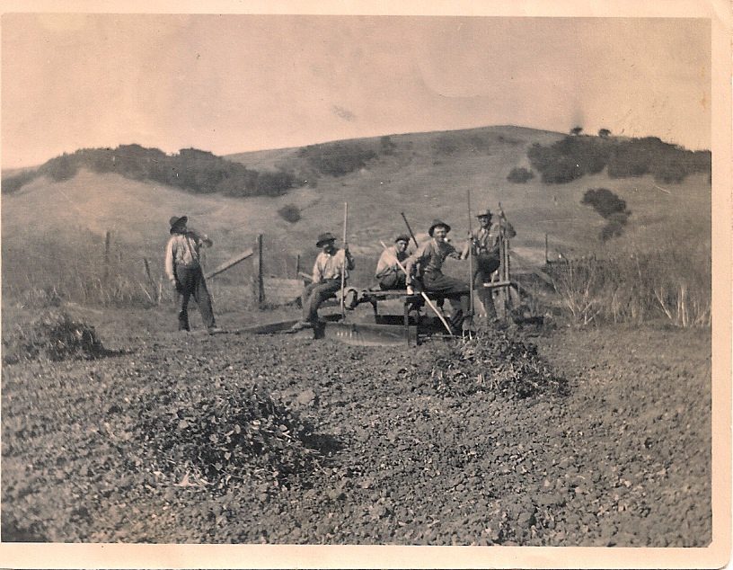 Century Farms - Santa Ynez Valley Star